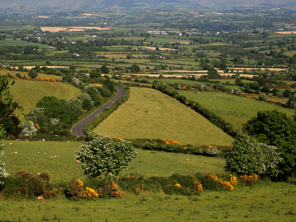 10 Ways to Help Biodiversity - National Biodiversity Data Centre