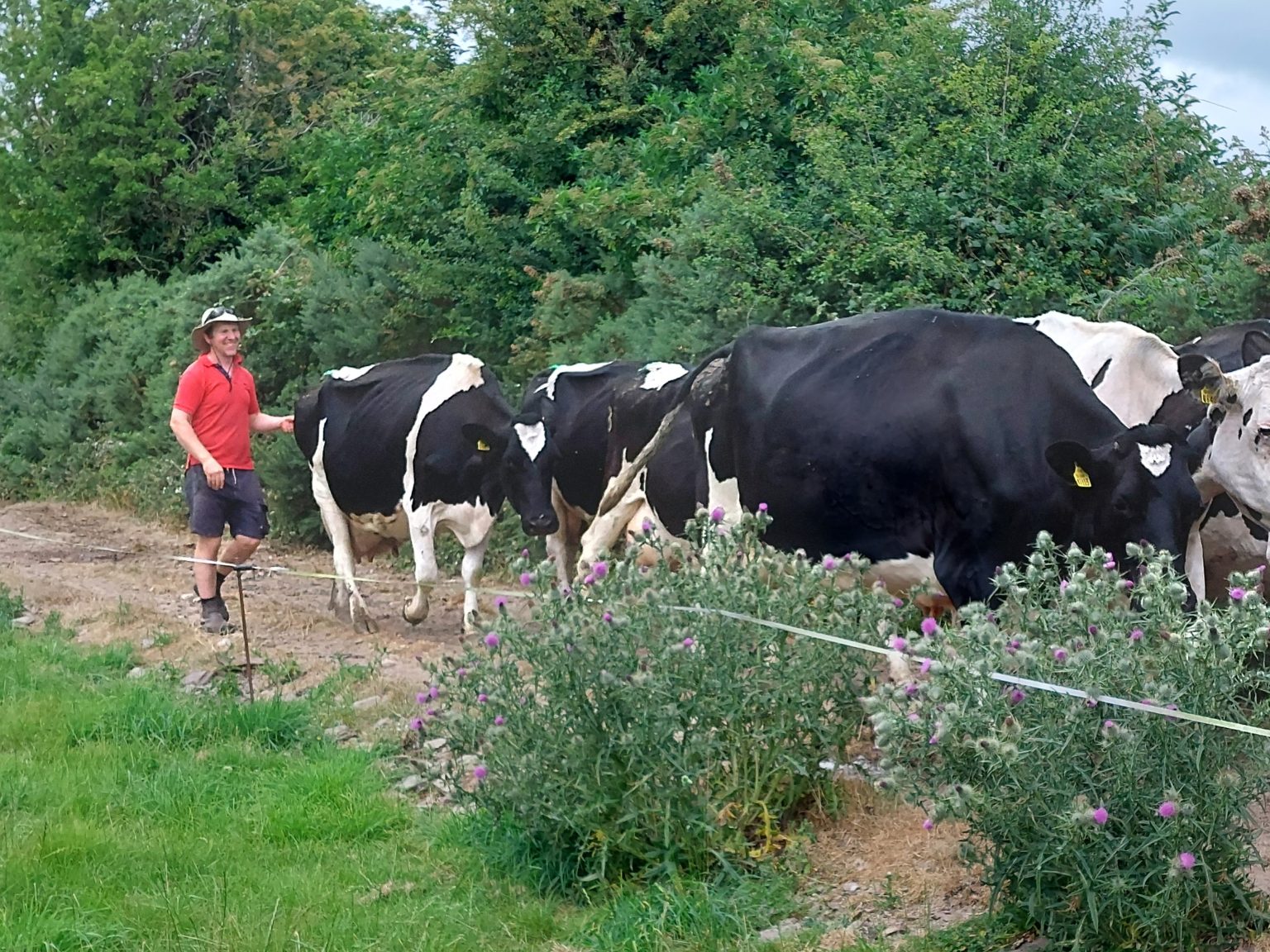 Biodiversity on your Farm - National Biodiversity Data Centre