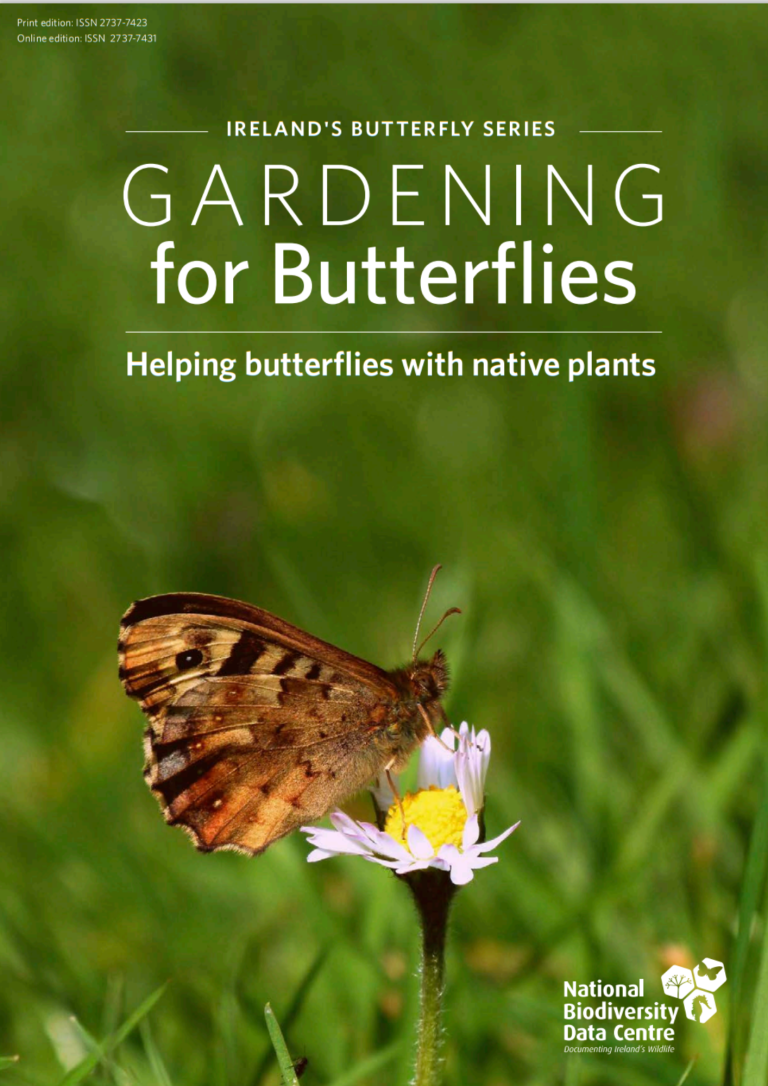 Gardening for butterflies - helping butterflies with native plants ...